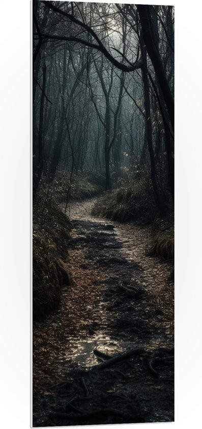 PVC Schuimplaat- Bos - Bomen - Pad - Donker - Bladeren - 40x120 cm Foto ...