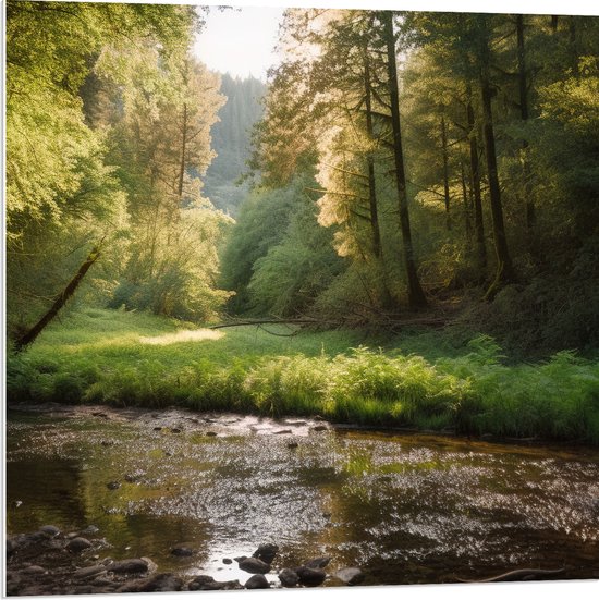 PVC Schuimplaat- Bos - Natuur - Water - Beekje - Stenen - Bomen - 80x80 ...