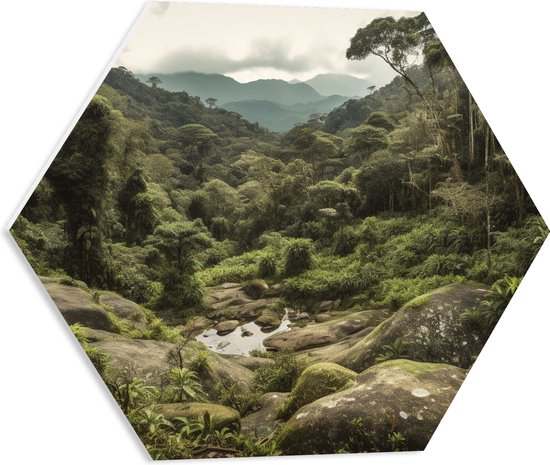 PVC Schuimplaat Hexagon - Bos - Tropisch - Groen - Bomen - Planten ...