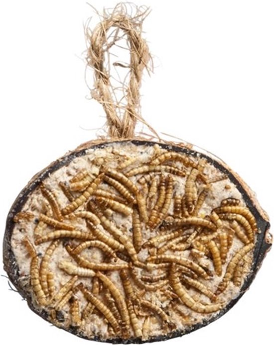 Tweetfeed Cocosnoot + vet + meelwormen | bol