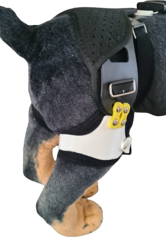Hondenbrace, hond brace, dog brace, honden heup brace, honden halsband ...