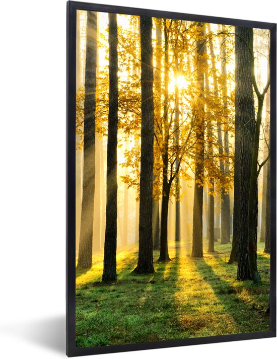 Fotolijst incl. Poster - Bos - Zon - Bomen - Gras - Landschap - Natuur ...