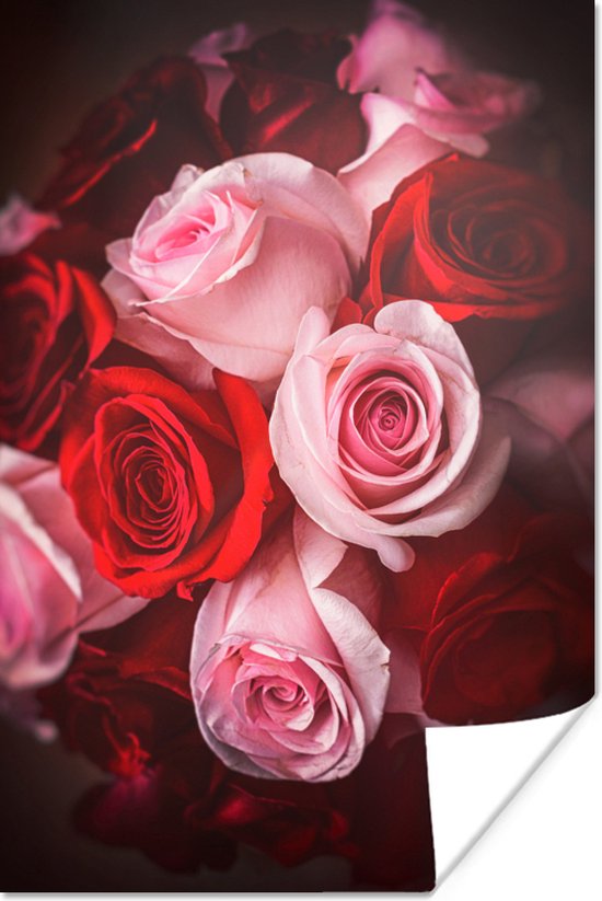 Poster Een close-up van een boeket van roze en rode rozen - 60x90 cm | bol