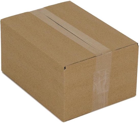 Kartonnen doos - 305 x 220 x 100 mm - 25 stuks | bol