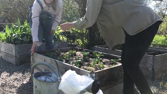 Nelson Garden Set van 4 Tunnelbogen voor Moestuinbak van Pallet ...