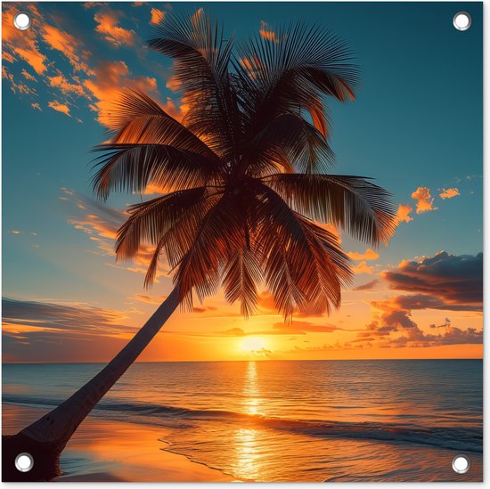 Tuinposter zonsondergang - Tuindecoratie palmboom - 50x50 cm - Poster ...