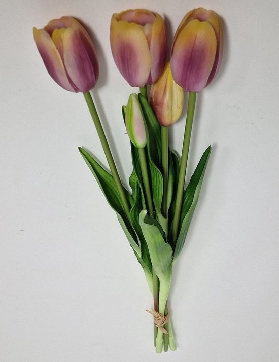 Real Touch Tulips Dubble Bundle - Aubergine - Real Touch Tulpen - zwarte tulpen-... | bol