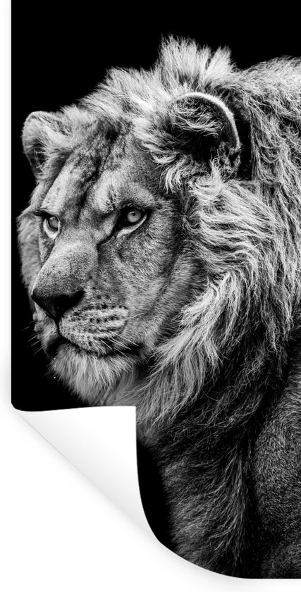 Muurstickers - Sticker Folie - Leeuw - Portret - Wilde dieren - Zwart - Wit - 40x80 cm... | bol