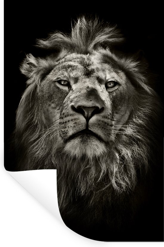 Muurstickers - Sticker Folie - Leeuw - Dieren - Portret - Wild - Zwart wit - 80x120 cm... | bol