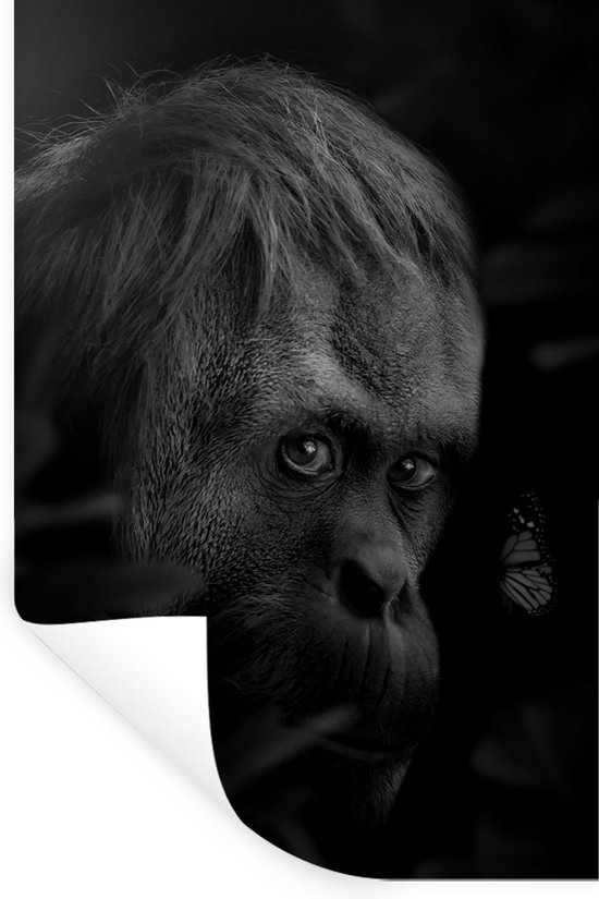 Muurstickers - Sticker Folie - Close-up van een aap in de jungle - zwart wit - 20x30... | bol