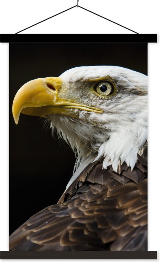 Posterhanger incl. Poster - Schoolplaat - Adelaar - Vogel - Ogen ...