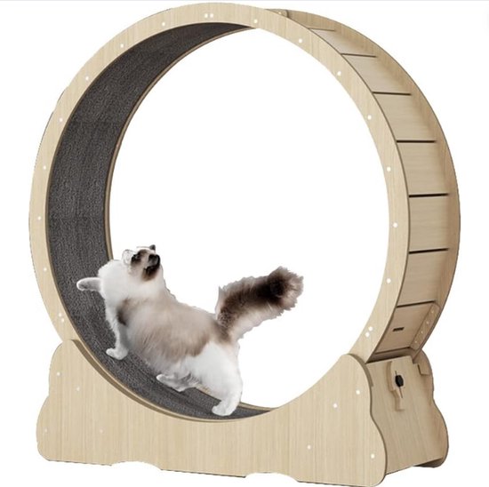 Katten Loopwiel - Looprad Kat Realistische Training - Cat Wheel Met ...