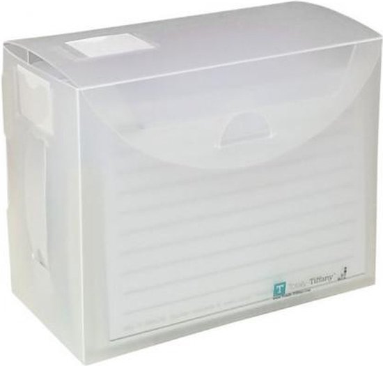 4X6 Fab File Box met folders | bol