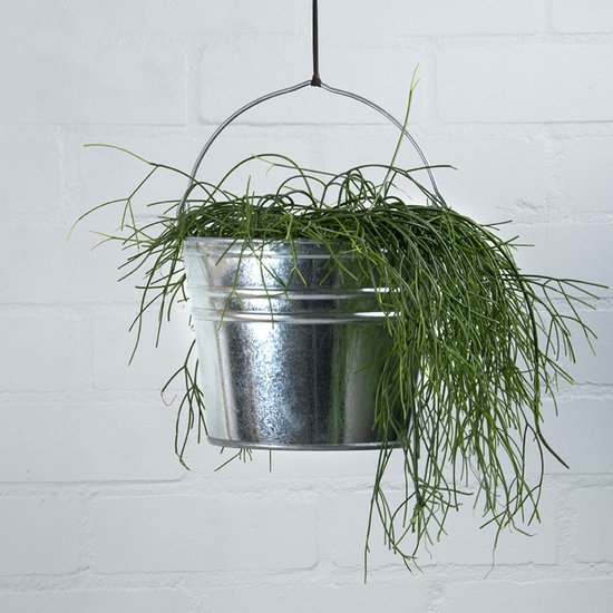 Esschert Design Emmer/plantenpot/bloempot - zink - zilver - D26 x H25 ...