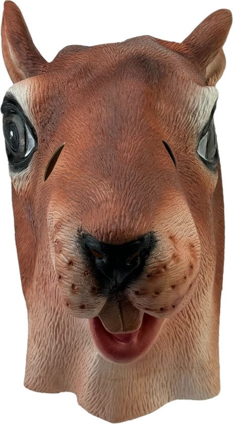 Eekhoorn masker | bol