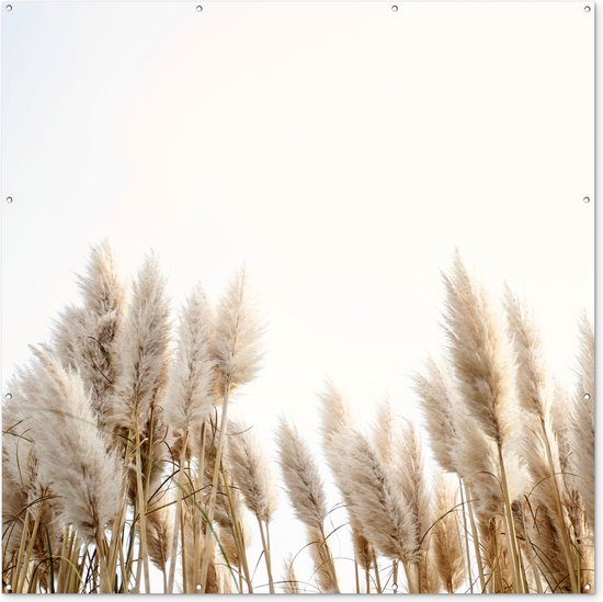 Tuin poster Graan - Lucht - Pastel - 200x200 cm - Tuindoek - Buitenposter | bol