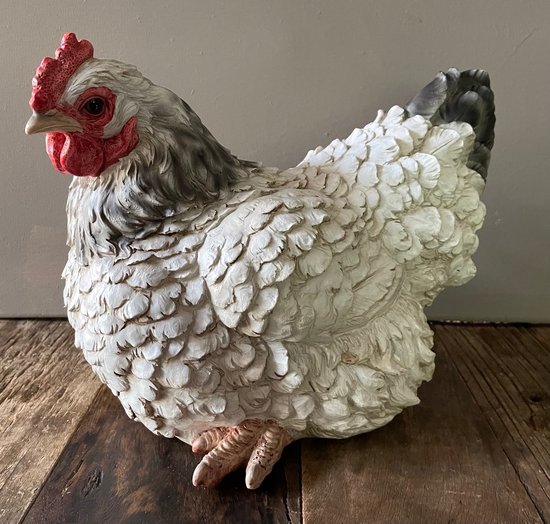 BEELD KIP - WIT. | bol