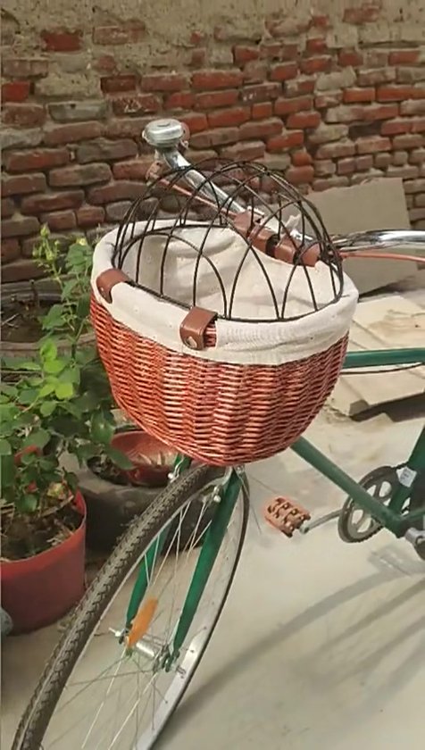 Retail Trends Rieten Fietsmand - Fietsmand hond - Mand voor huisdieren ...