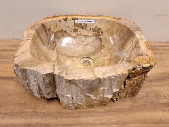 Waskom van versteend hout - 46x40x15cm - FL22341 | bol