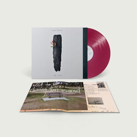 BARKER, EMILY - FRAGILE AS HUMANS, Emily Barker | Muziek | bol