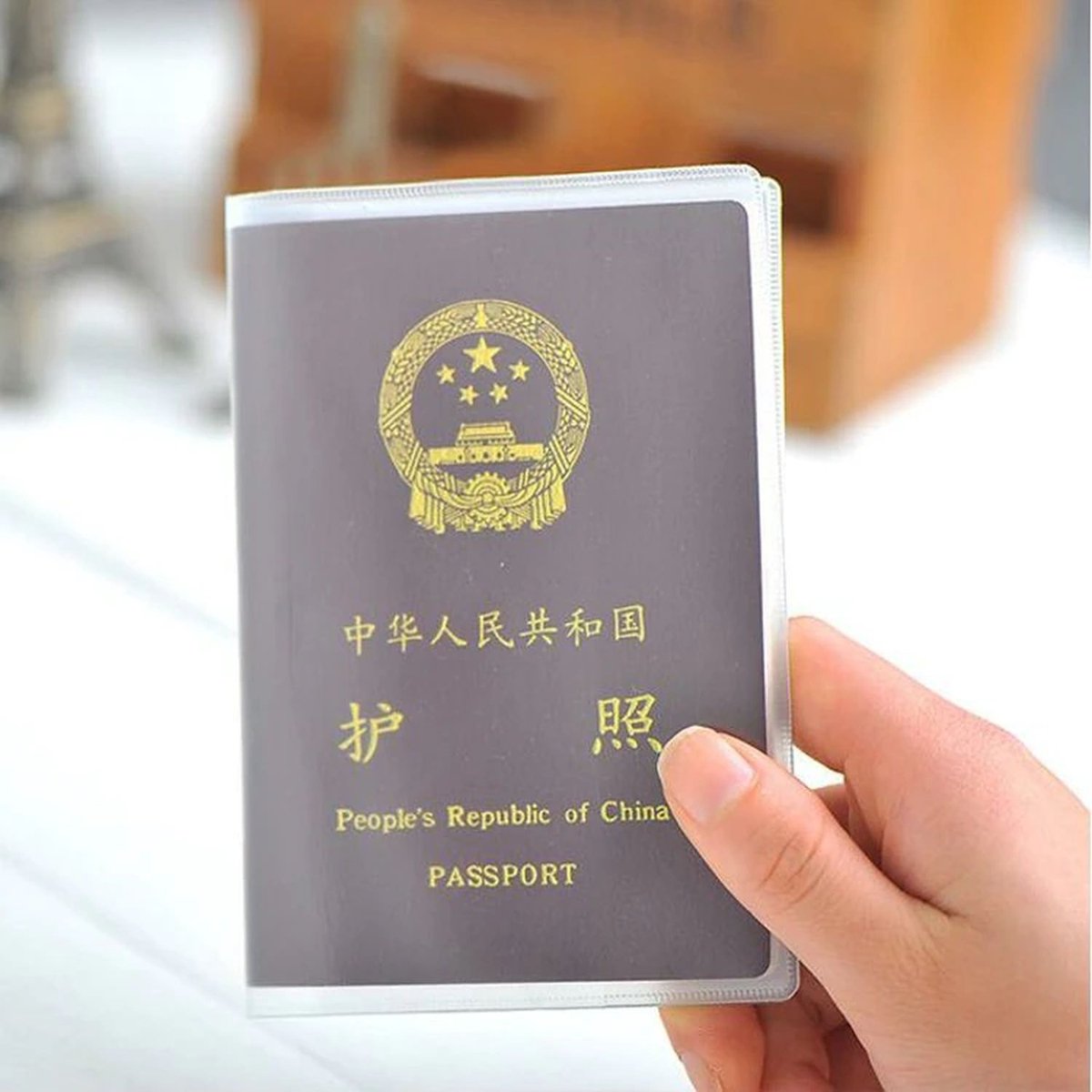 Housse de Protection Passport Mat ( 2 pièces ) avec compartiments / Mat ...