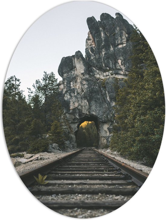 PVC Schuimplaat Ovaal - Treinspoor Naar Tunnel in een Berg - 60x80 cm ...
