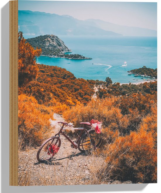 Hout - Fiets Geparkeerd op Bergpad dor Begroeiing naar de Zee - 30x40 ...