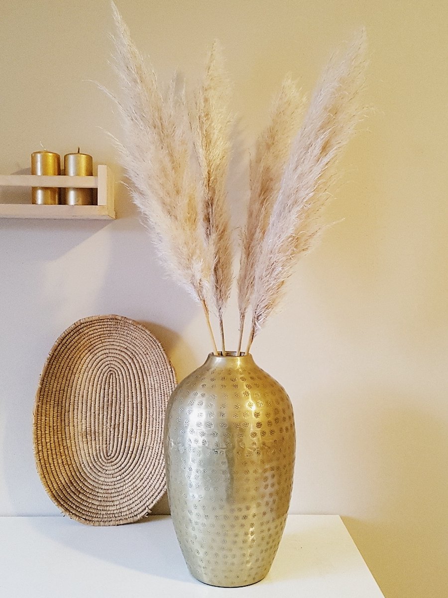 Pampas pluimen Met Vaas - Gouden vaas - Goud - Bloemenvaas ...