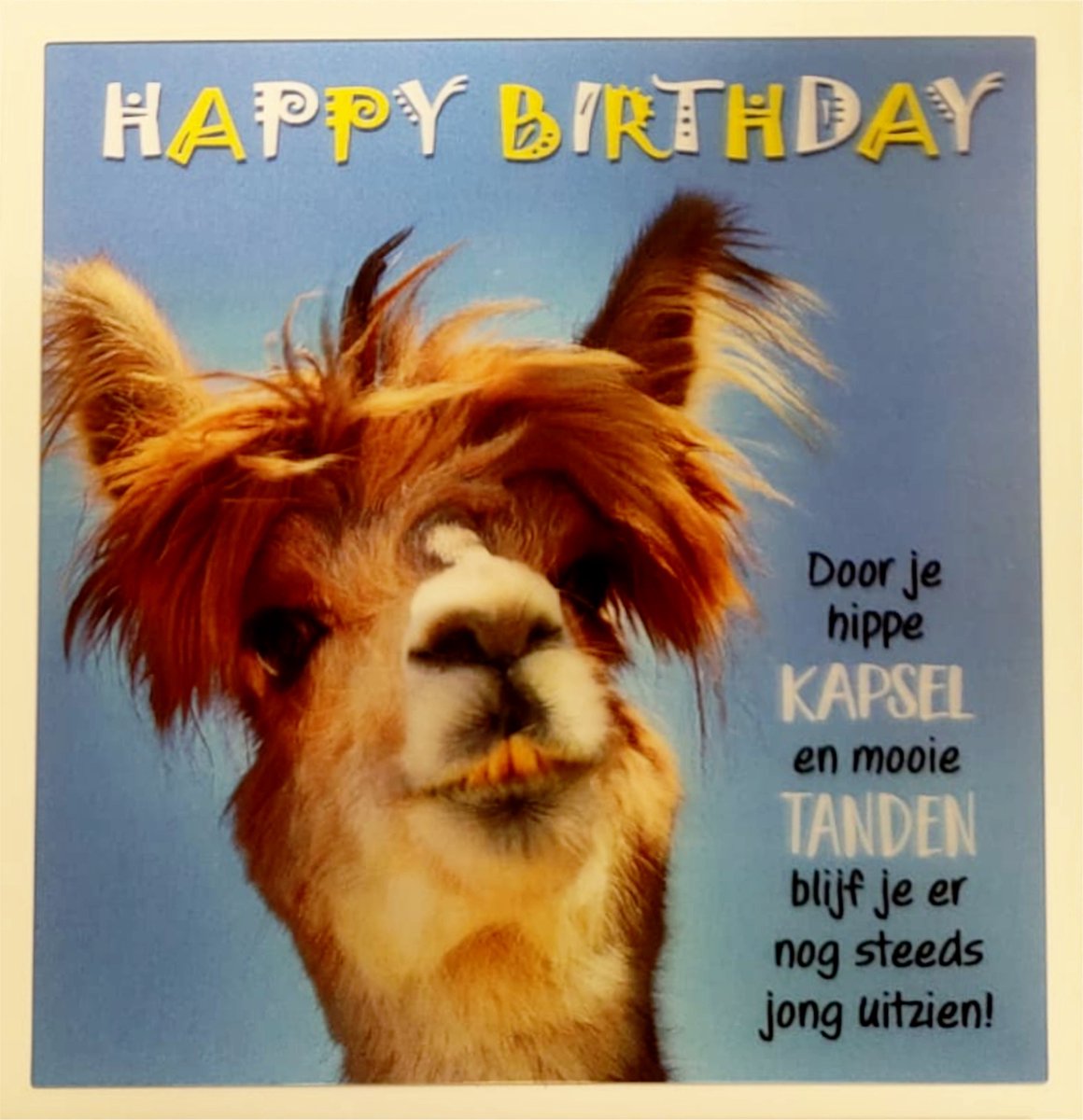 Kaart - 3D - Happy birthday, lama - 035 | bol.com