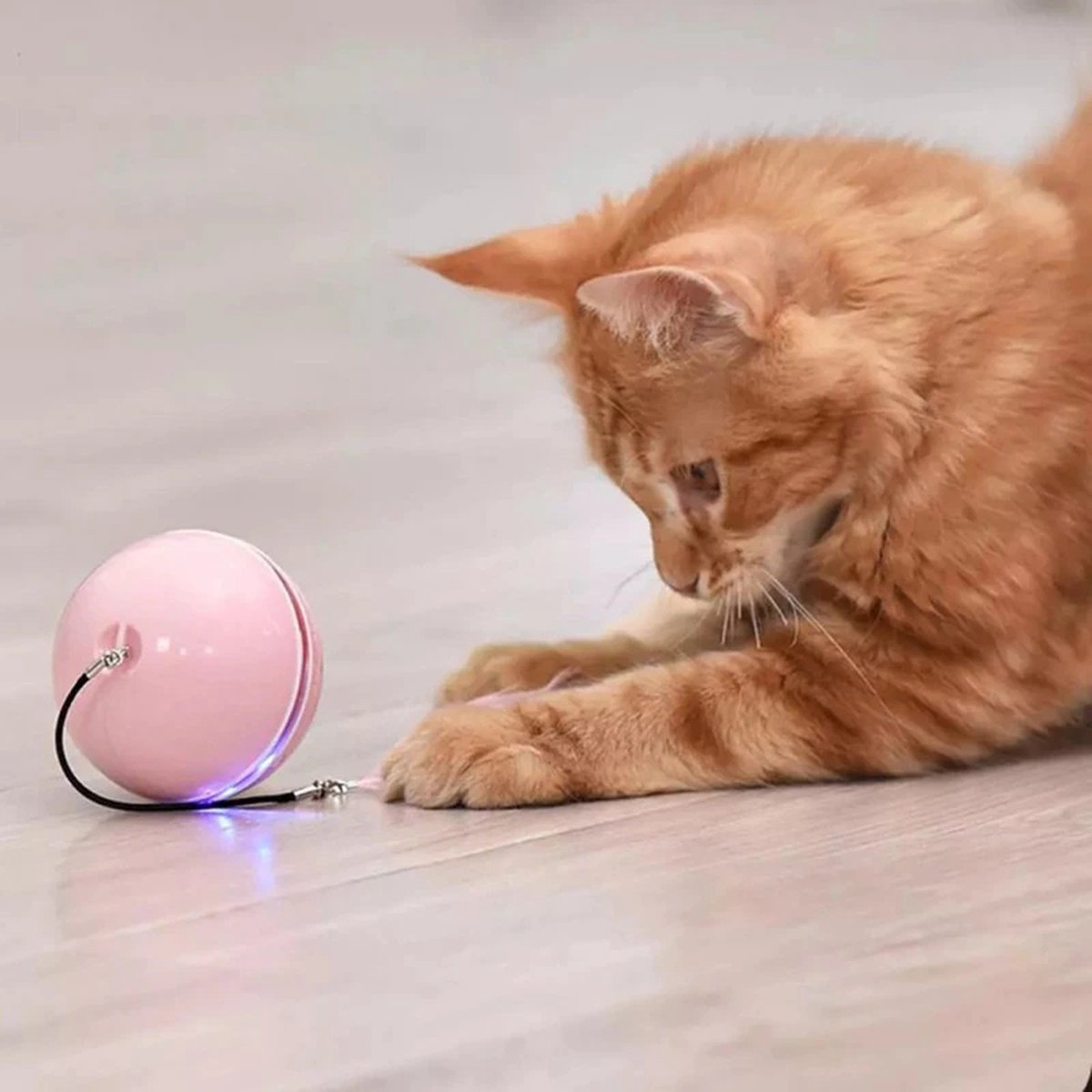 Smarty rollende bal kat | Kattenspeeltjes bal roos | Speelgoed kat en ...