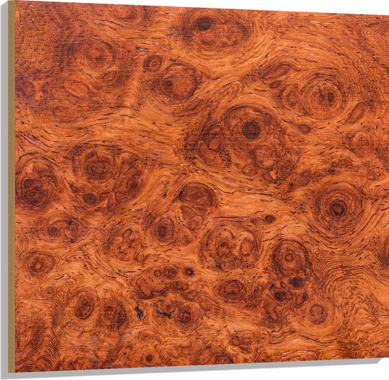 Hout - Print van een Houten Wand met Cirkelvormige Textuur - 100x100 cm ...