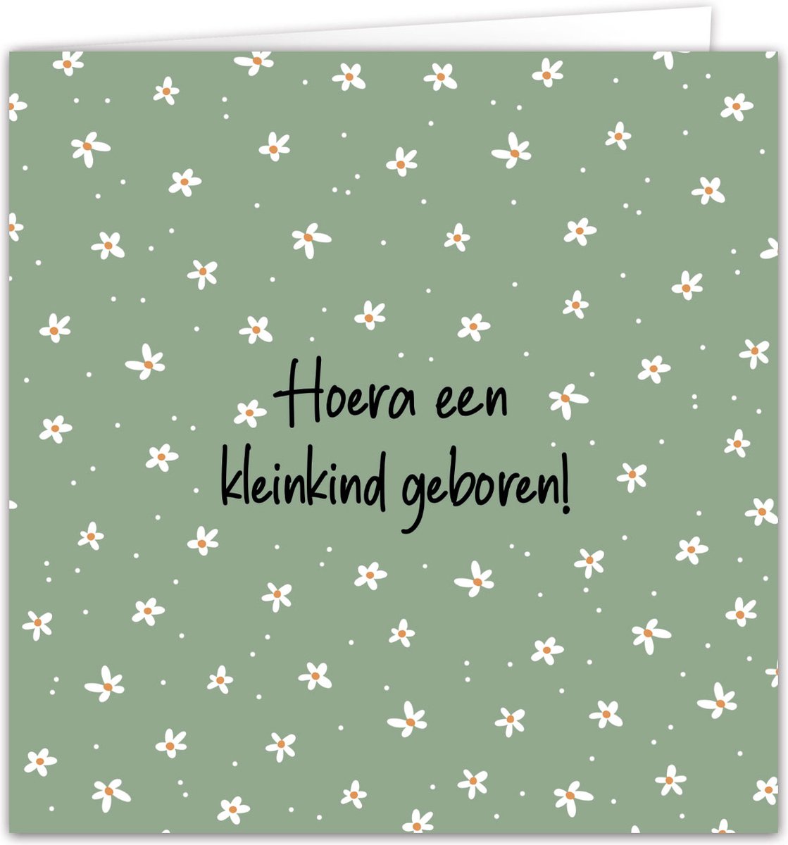 Wenskaart 'Hoera Kleinkind geboren' incl envelop - Kaart geboorte - Opa en oma | bol.com