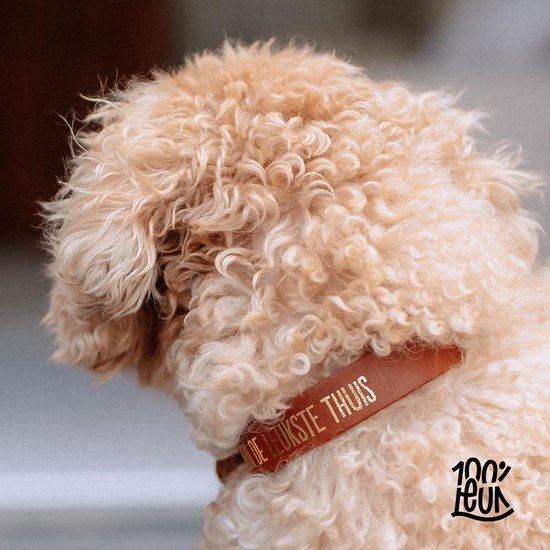 100%LEUK Honden- Halsband | bol.com