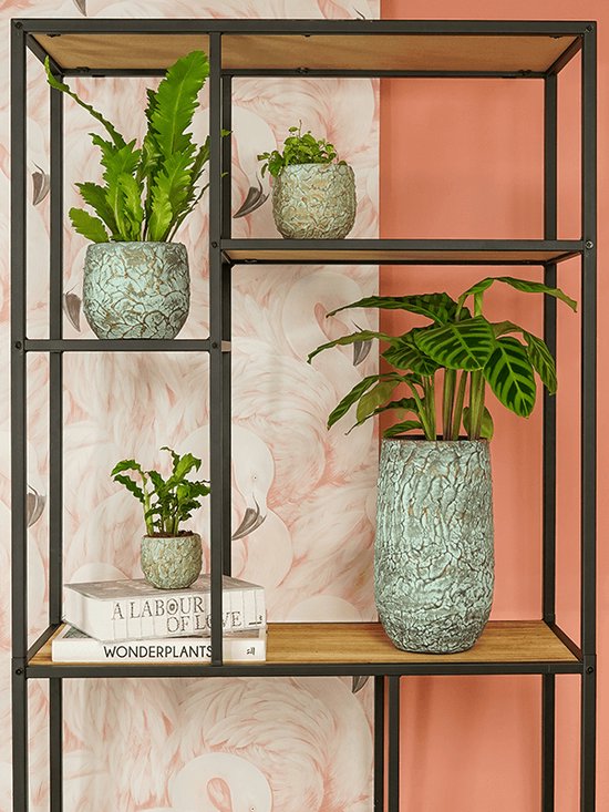 Hoge pot evi antiq bronze bloempot binnen 19 cm | bol.com