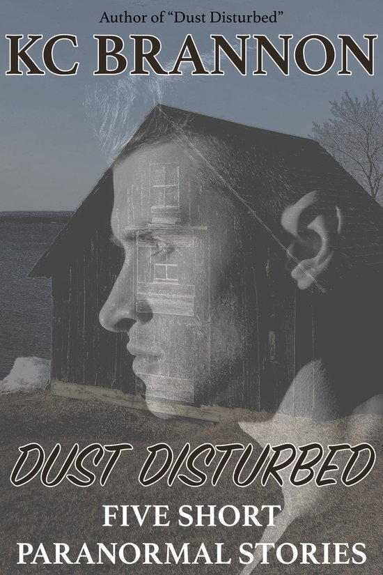 Dust Disturbed (ebook), KC Brannon | 1230005546558 | Boeken | bol.com