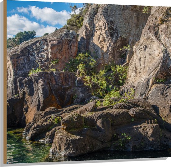 Hout - Begroeiing op Rotsen in het Water - 100x100 cm - 9 mm dik - Foto ...