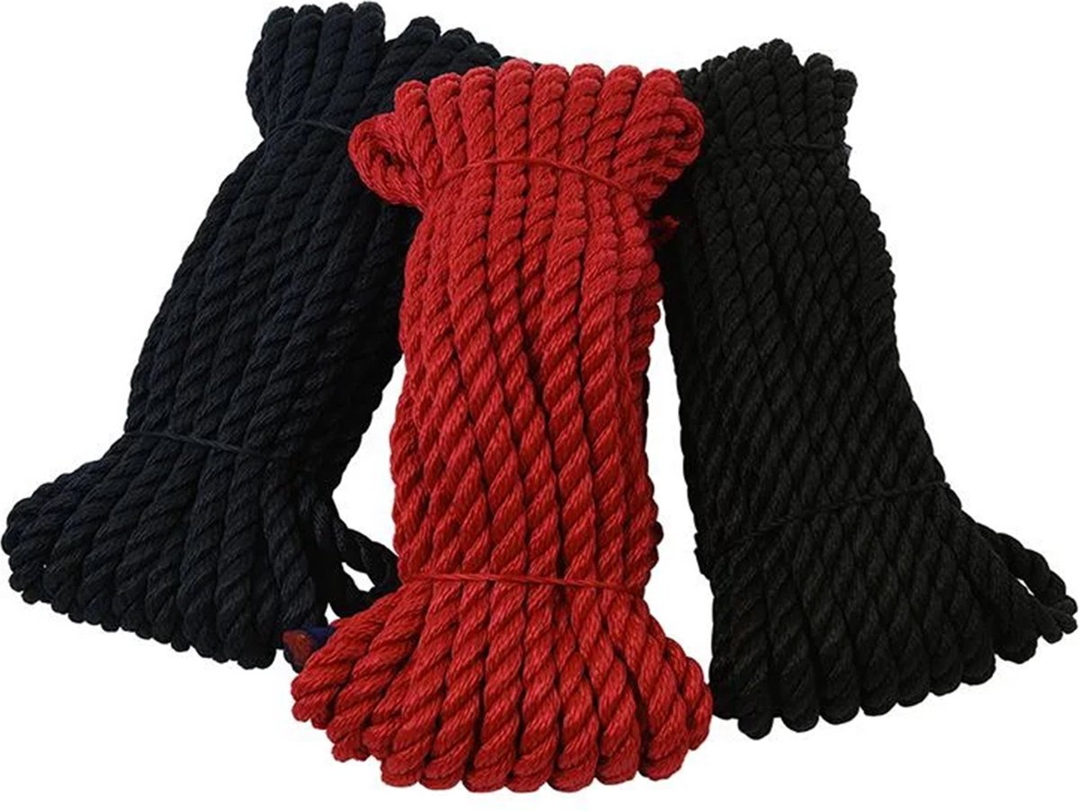 Pro Plus Birotex Touw Gedraaid - Polypropylene - 10 mm x 10 meter - 1. ...