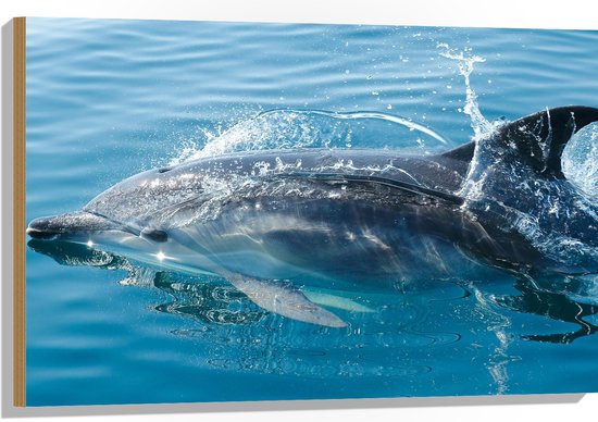 Hout - Zwemmende Dolfijn in de Zee - 90x60 cm - 9 mm dik - Foto op Hout ...