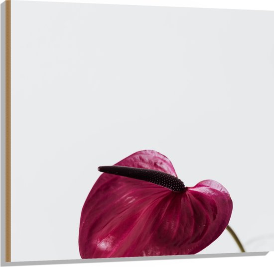 Hout - Rood- Paars Gekleurd Blad tegen Witte Achtergrond - 100x100 cm ...