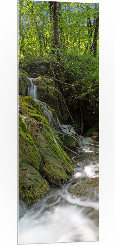 PVC Schuimplaat- Kleine Watervallen Stromend in Riviertje in het Bos ...