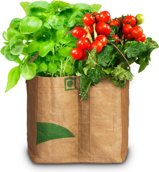 Baza Duo-Tuintje Caprese Bio Tomaat En -Basilicum | bol