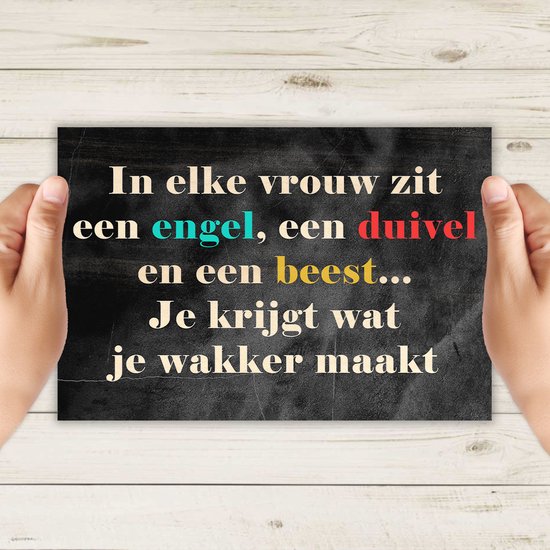 Spreukbord - In Elke Vrouw Schuilt Een Engel Duivel En Een Beest - Hout ...