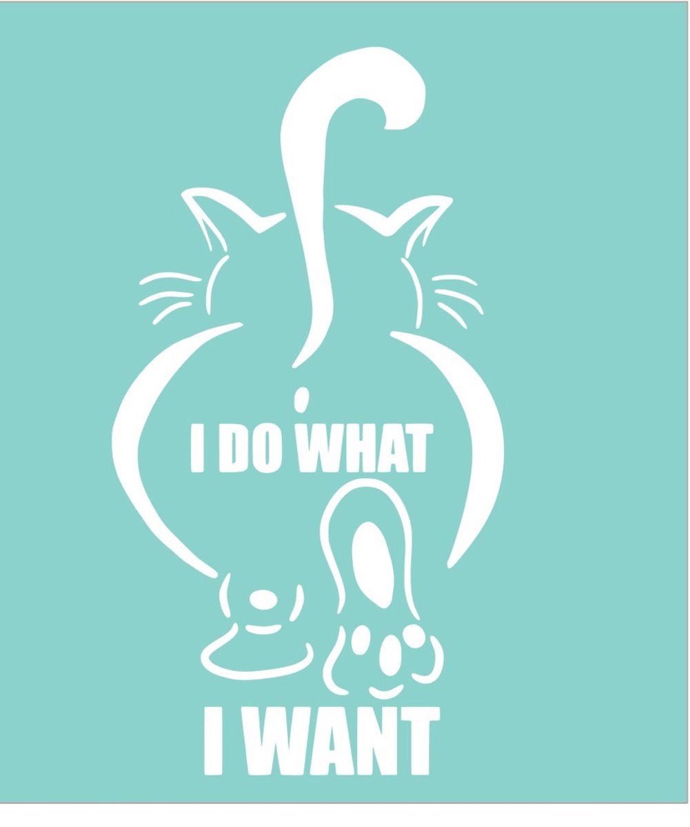 Auto - Raam sticker Spreuk I do what I want - Grappige Quote - Tekst ...