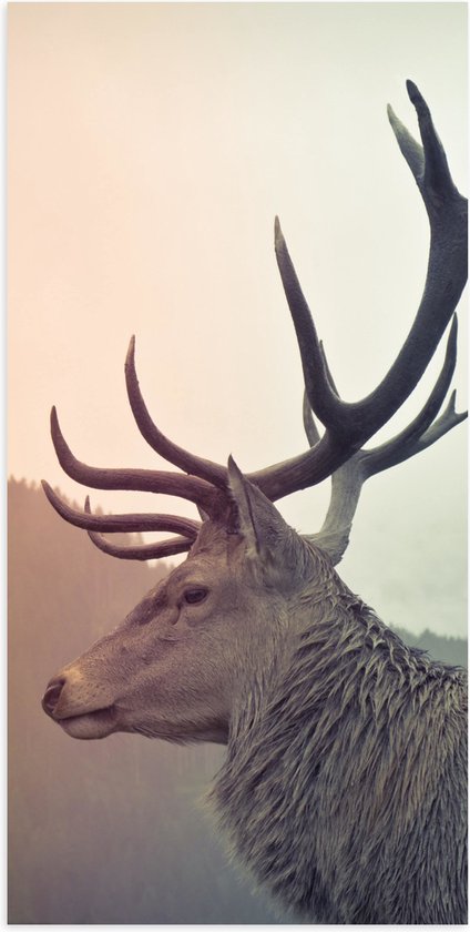WallClassics - Poster (Mat) - Bruin Hert met Groot Gewei - 50x100 cm ...