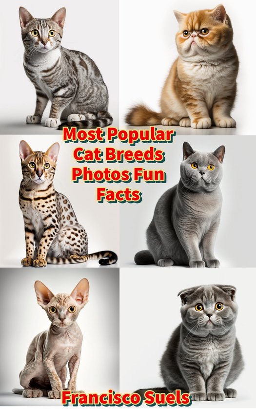 Most Popular Cat Breeds Photos Fun Facts (ebook), Francisco Suels ...