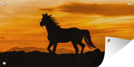 Tuinposter Silhouet van een wild mustang paard - 60x30 cm | bol.com