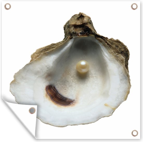 Tuin poster Een parel in een oester - 200x200 cm - Tuindoek ...