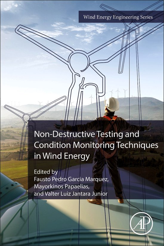 Non-Destructive Testing and Condition Monitoring Techniques in Wind ...