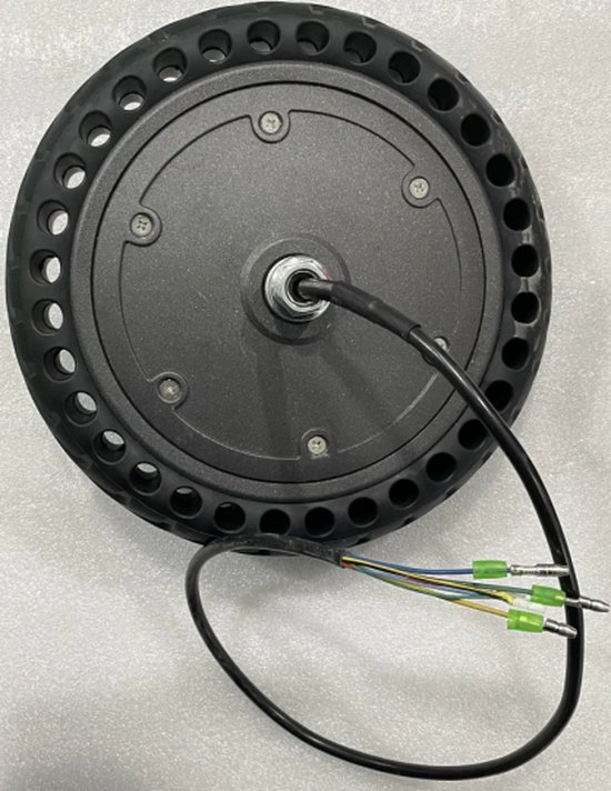 Windgoo & Guardo M12 E-Step Motor 250W | bol.com