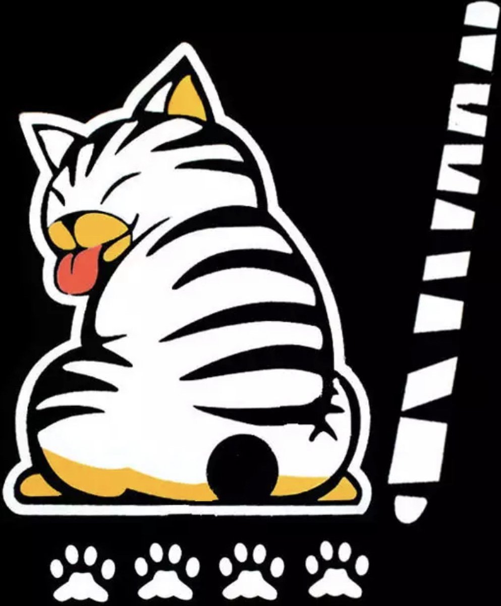Autosticker Ondeugende Kat met Bewegende Staart op Ruitenwisser - Wit ...